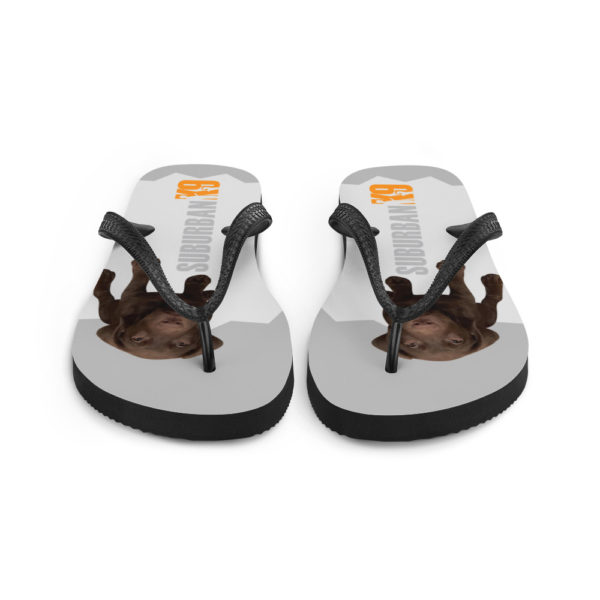Lab Flip-Flops | Suburban K9