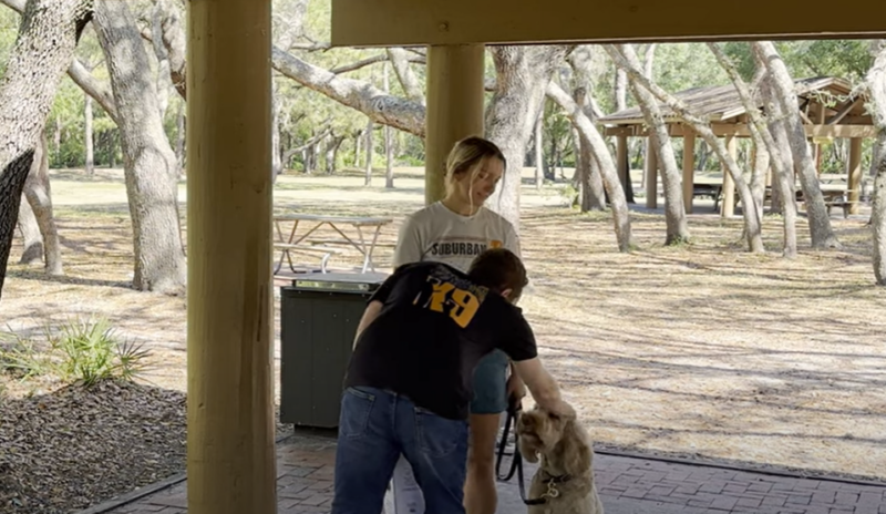 How to Pass the Canine Good Citizen Test | Suburban K9