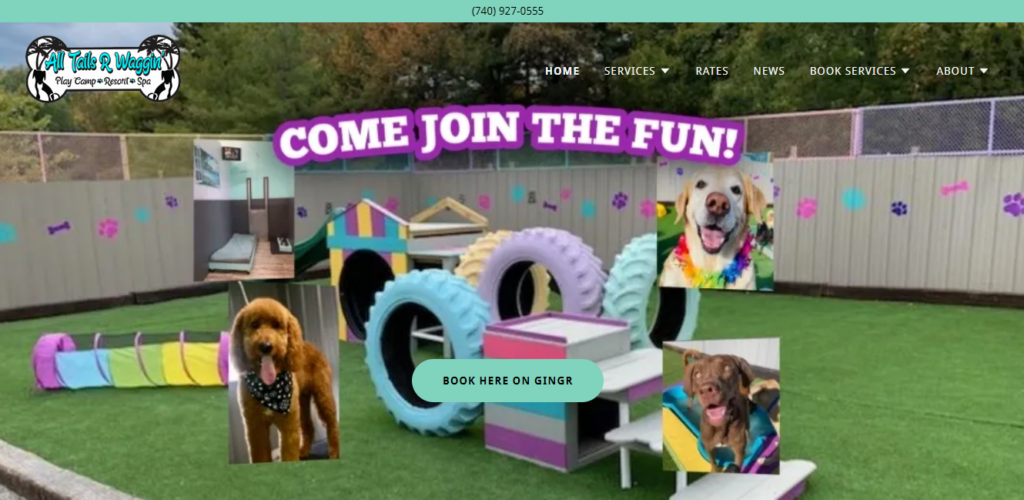 11+ Best Puppy Training Classes In Columbus, Ohio