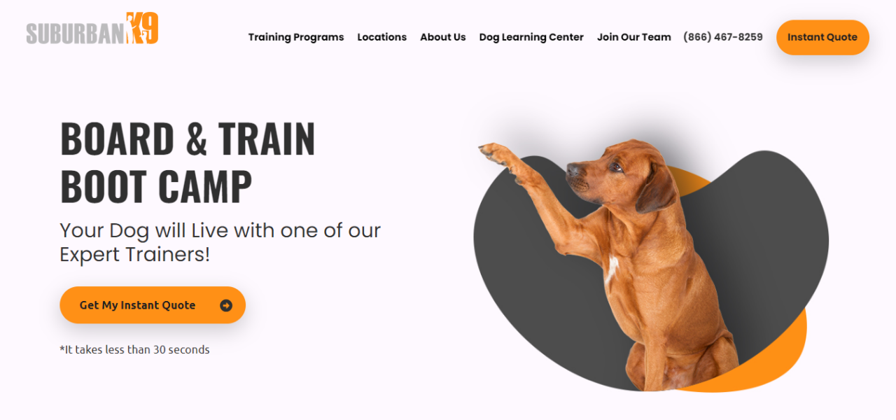 What Is A Dog Boot Camp? (Worth It For Aggressive Dogs)