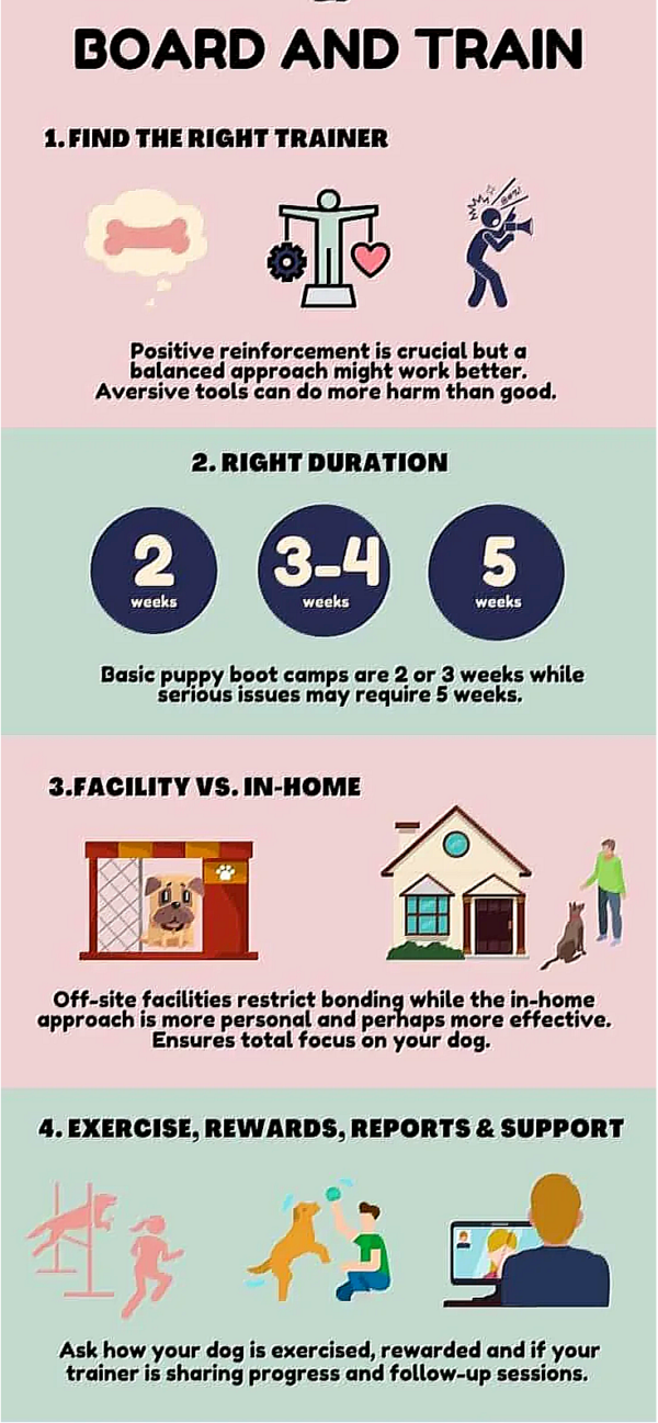 What Is Dog Boarding Training & Why It’s A Game-Changer
