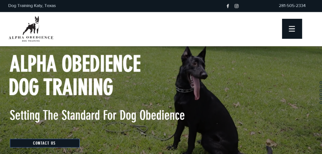 11+ Best Puppy Training Classes In Houston, TX For 2023