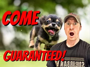 Step by Step Come Command Guide | Suburban K9