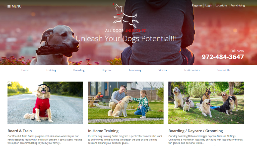 11+ Best Affordable Dog Training (In-home Or Board & Train)