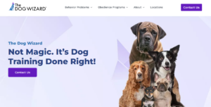 11+ Best Affordable Dog Training (In-home Or Board & Train)