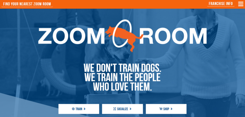 11+ Best Affordable Dog Training (In-home Or Board & Train)