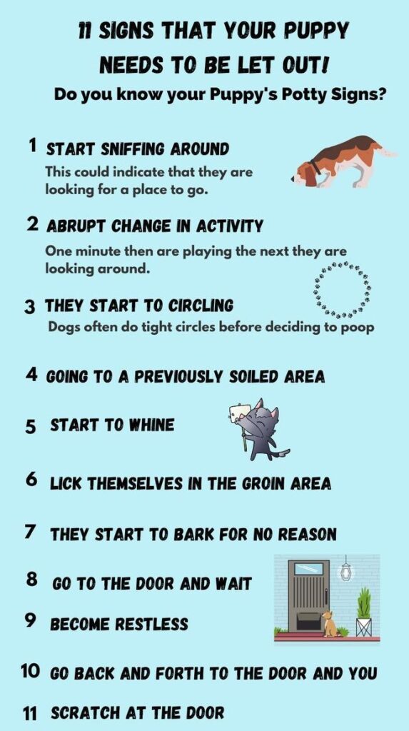 How To Potty Train A Puppy Without A Crate: Practical Ways