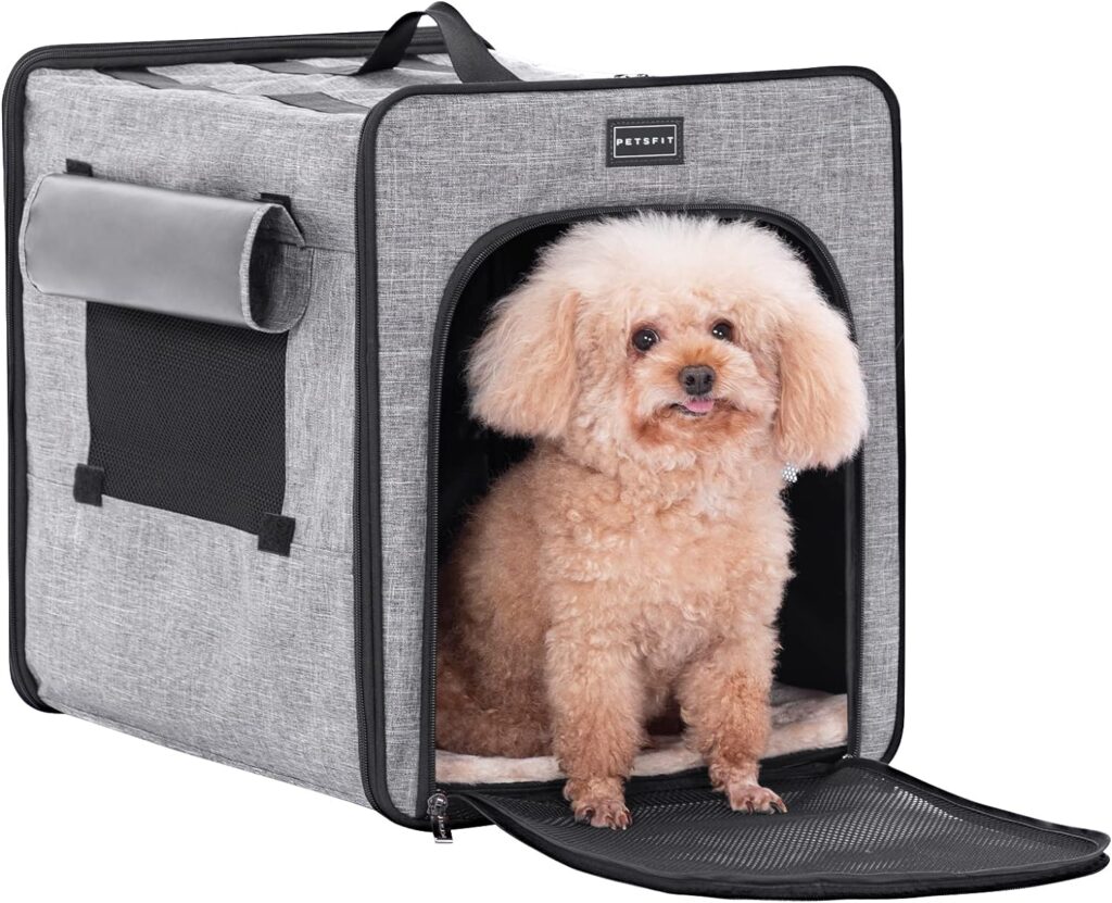 11+ Best Dog Crates For Small Dogs: Durable & Affordable