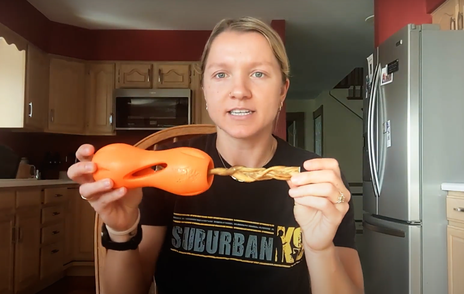 Bully Stick Review - Are They TheBest Treat for Dogs