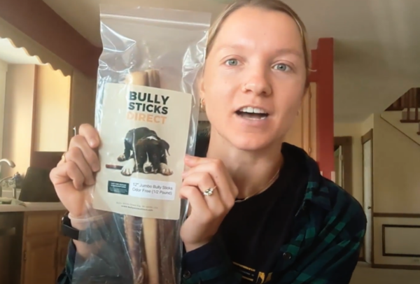 Bully Stick Review - Are They TheBest Treat for Dogs